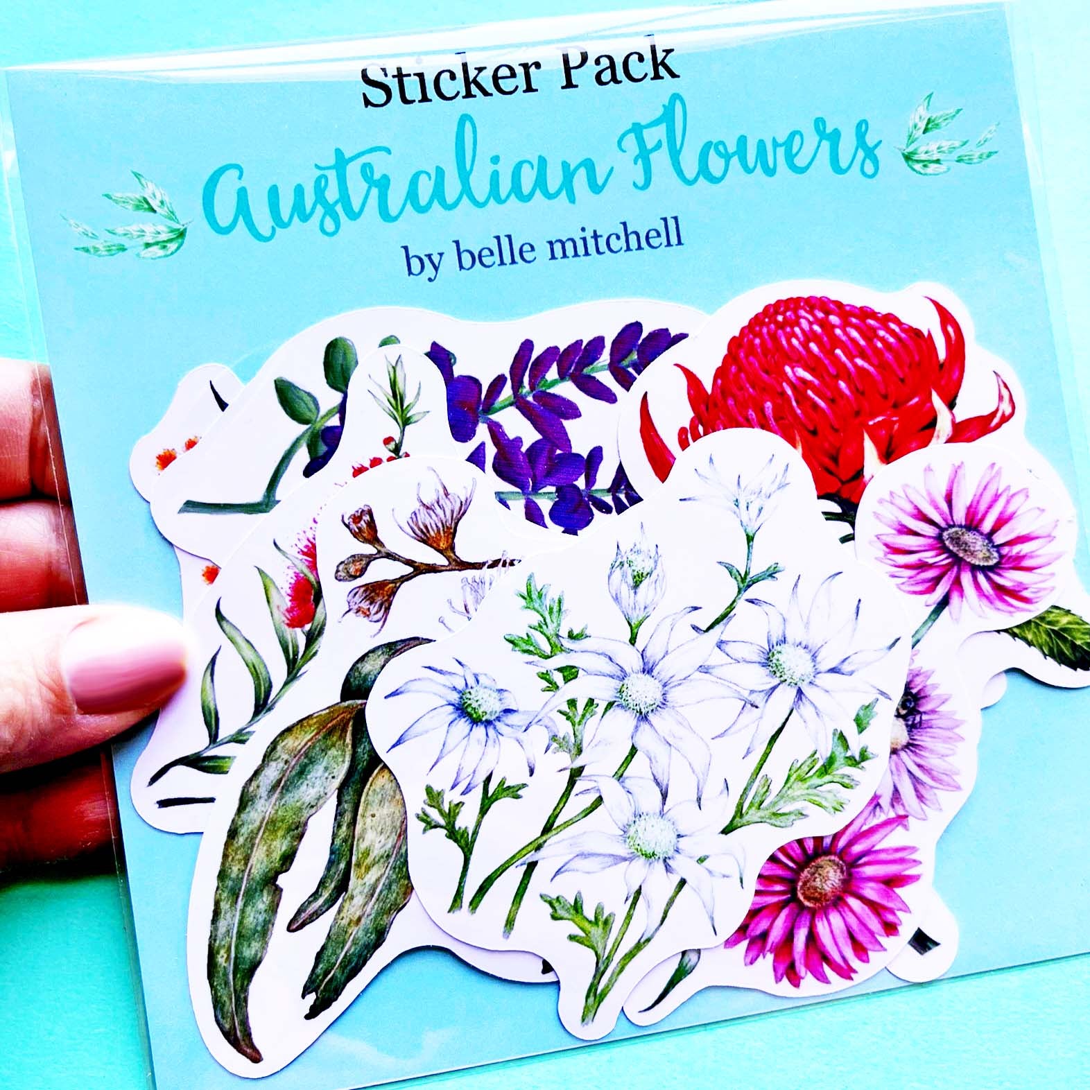 Australian Flowers | Belle Mitchell - Artist and Illustrator
